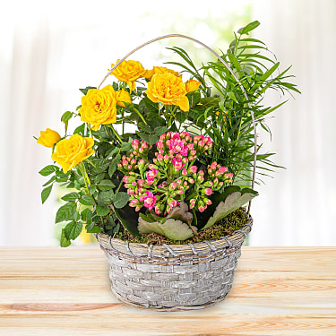 B&M Flowers