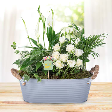B&M Flowers